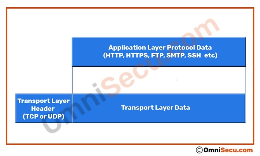 Transport Layer Protocols